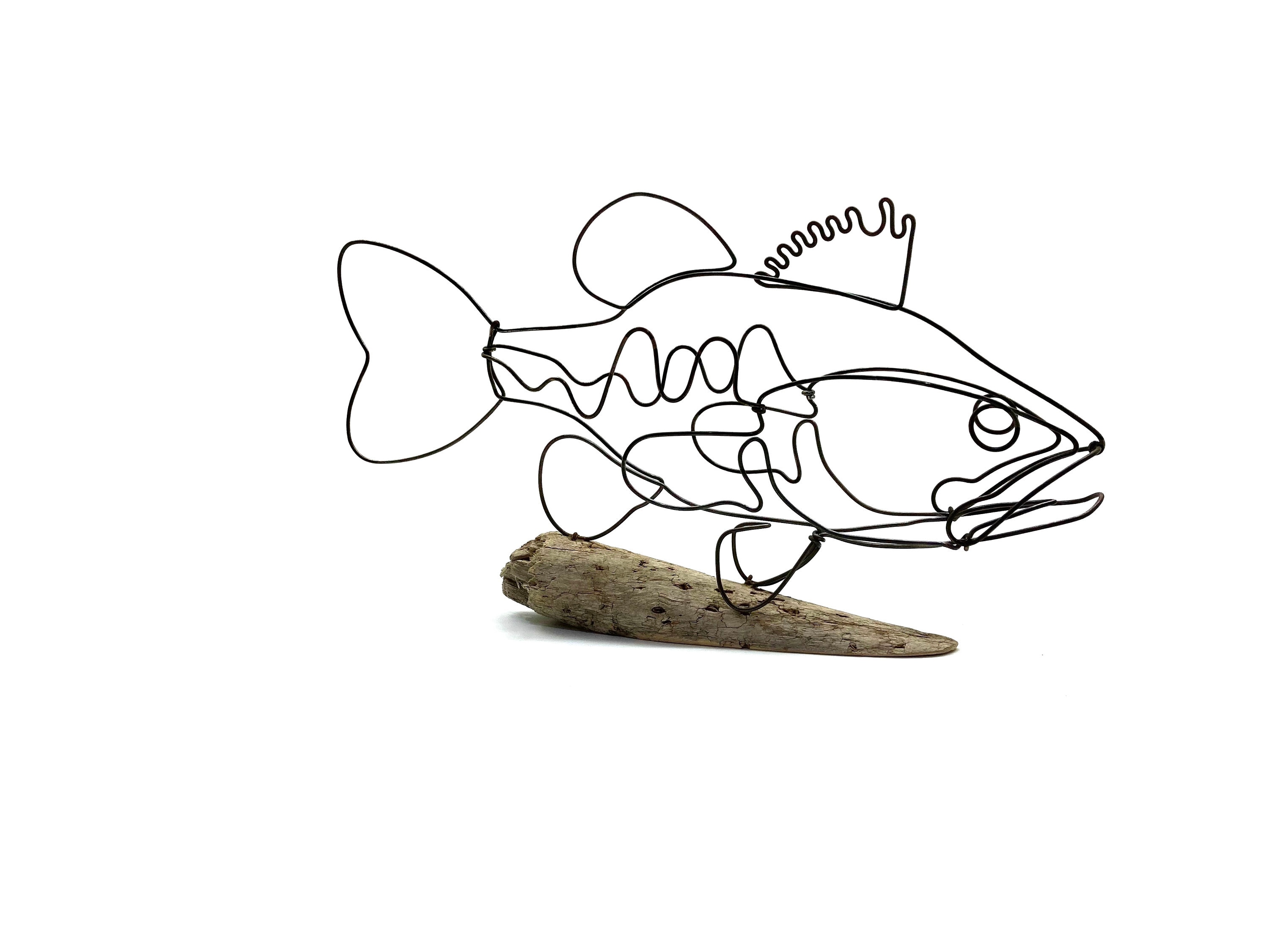 Shop — Wired by Bud