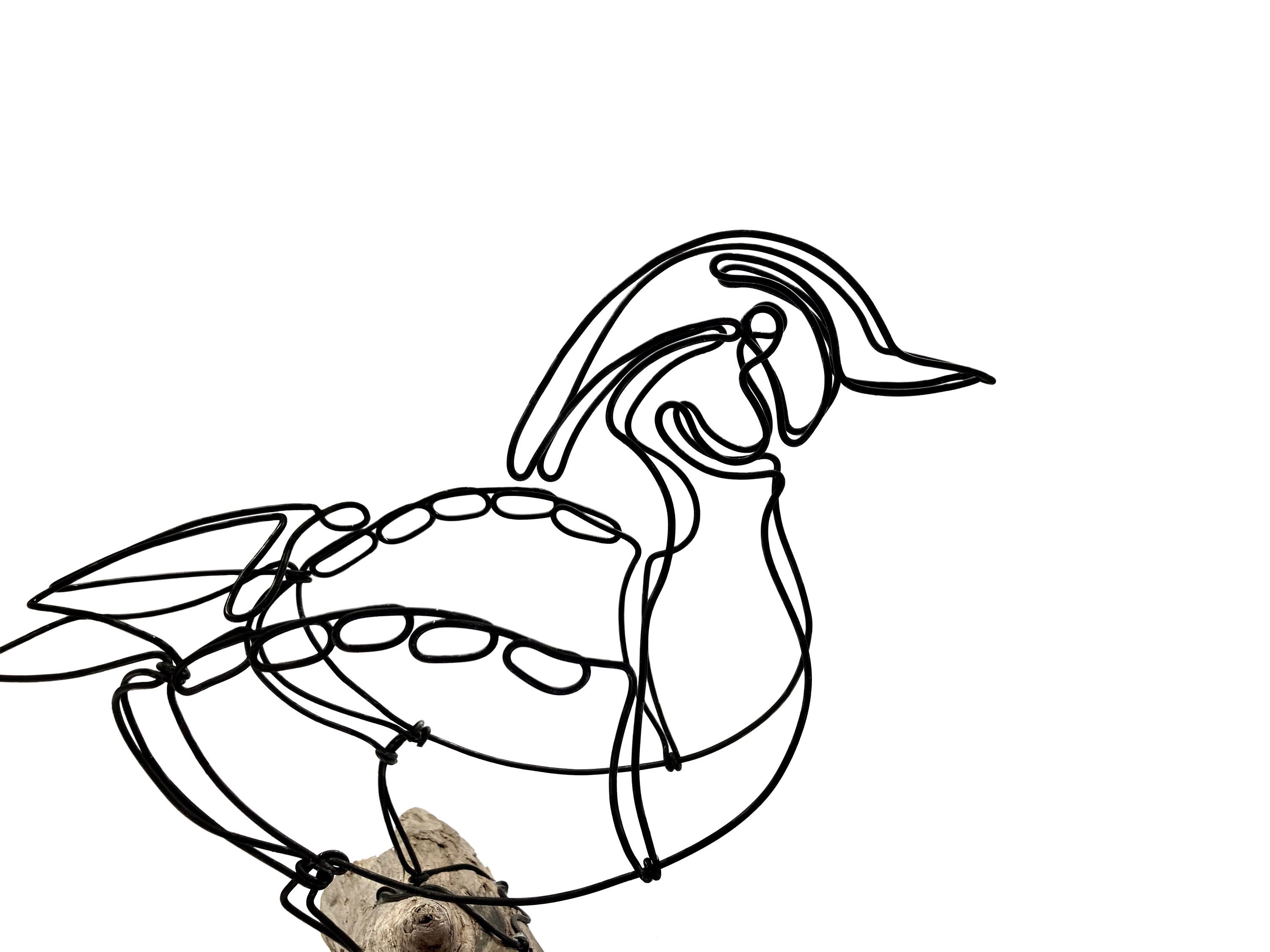 Reserved: Wood Duck Sculpture, Duck Wire Sculpture, Bird Wire Art ...