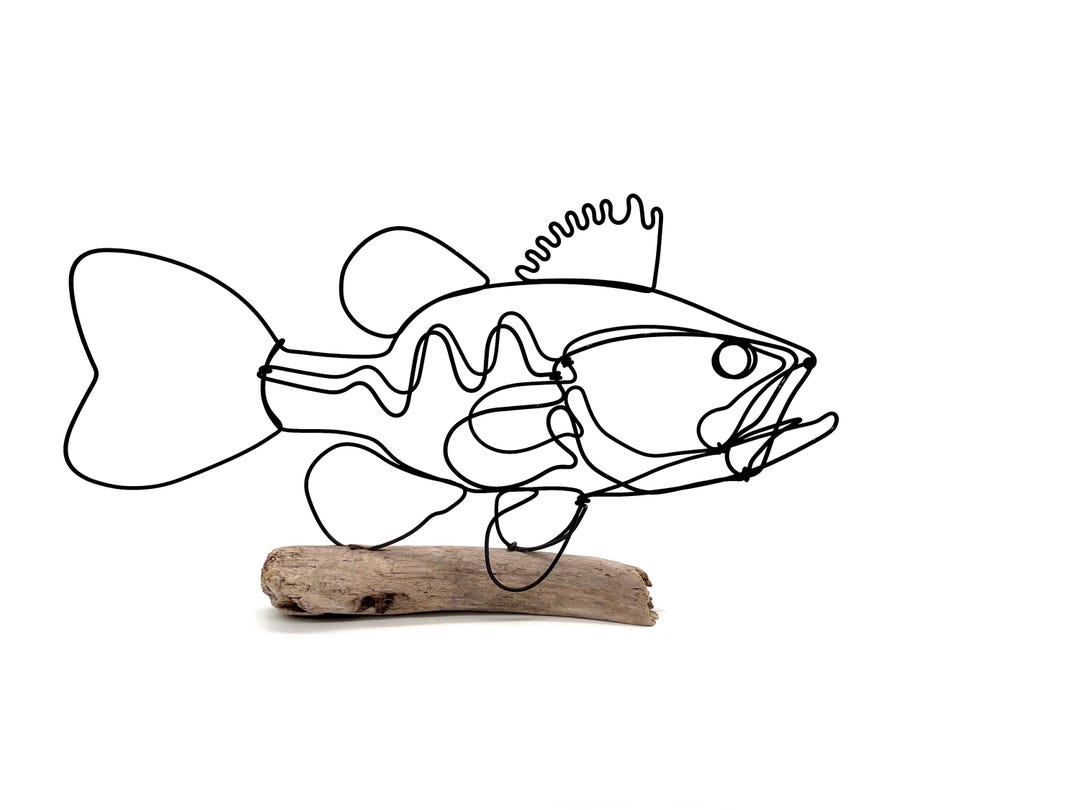 Bass Minimal Wire Sculpture, Fish Art, Unique Gift - Etsy