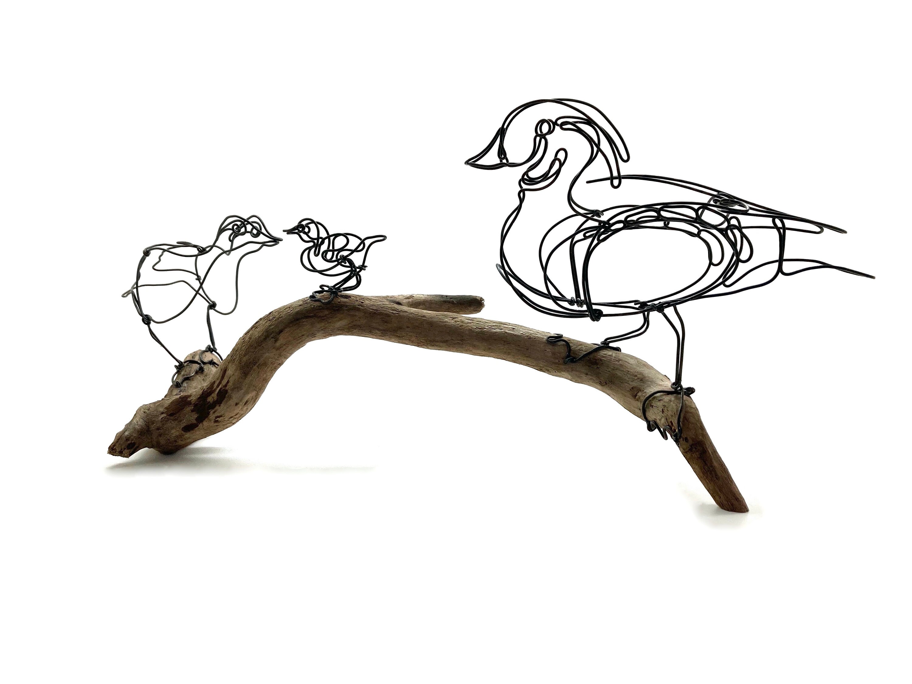 Reserved: Wood Duck Family Sculpture, Duck Wire Sculpture, Bird Wire ...