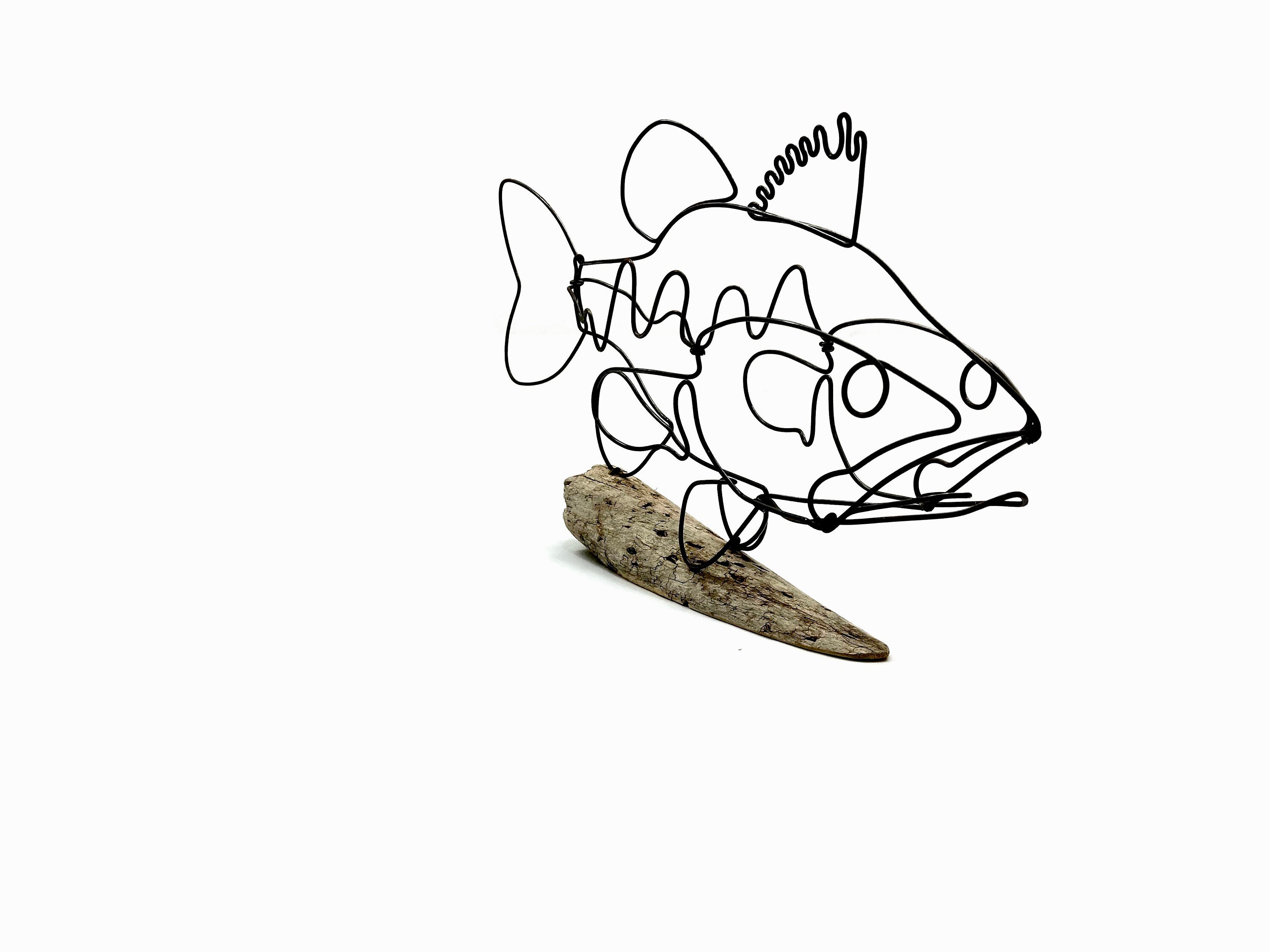 Shop — Wired by Bud