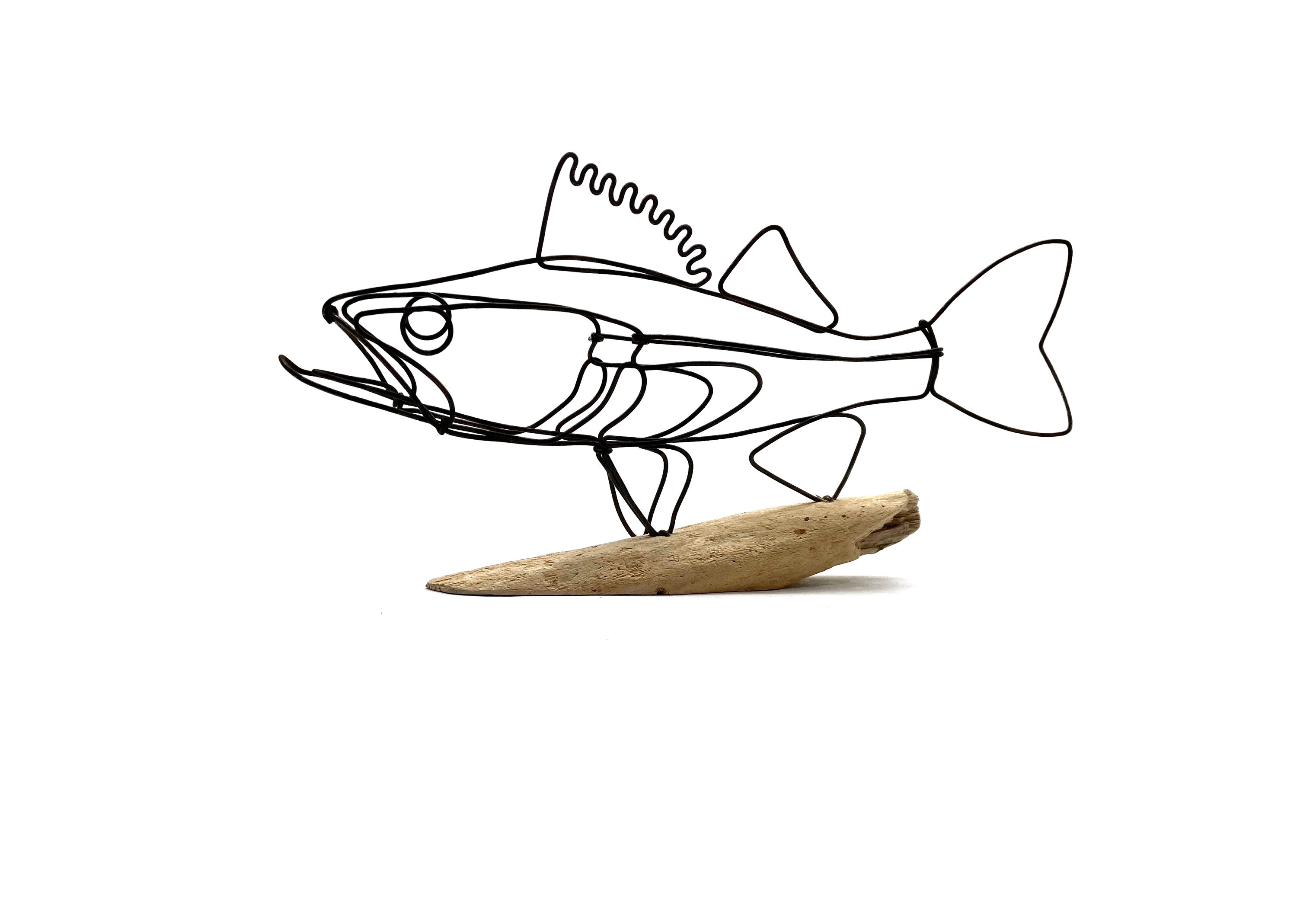 Shop — Wired by Bud