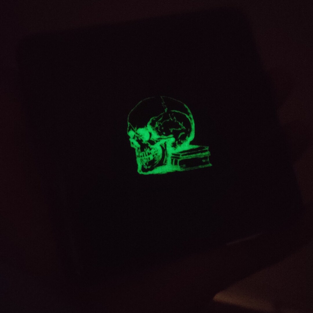 Glow in the Dark Skull Coaster! Creepy, Kooky, Spooky, Things That Go ...