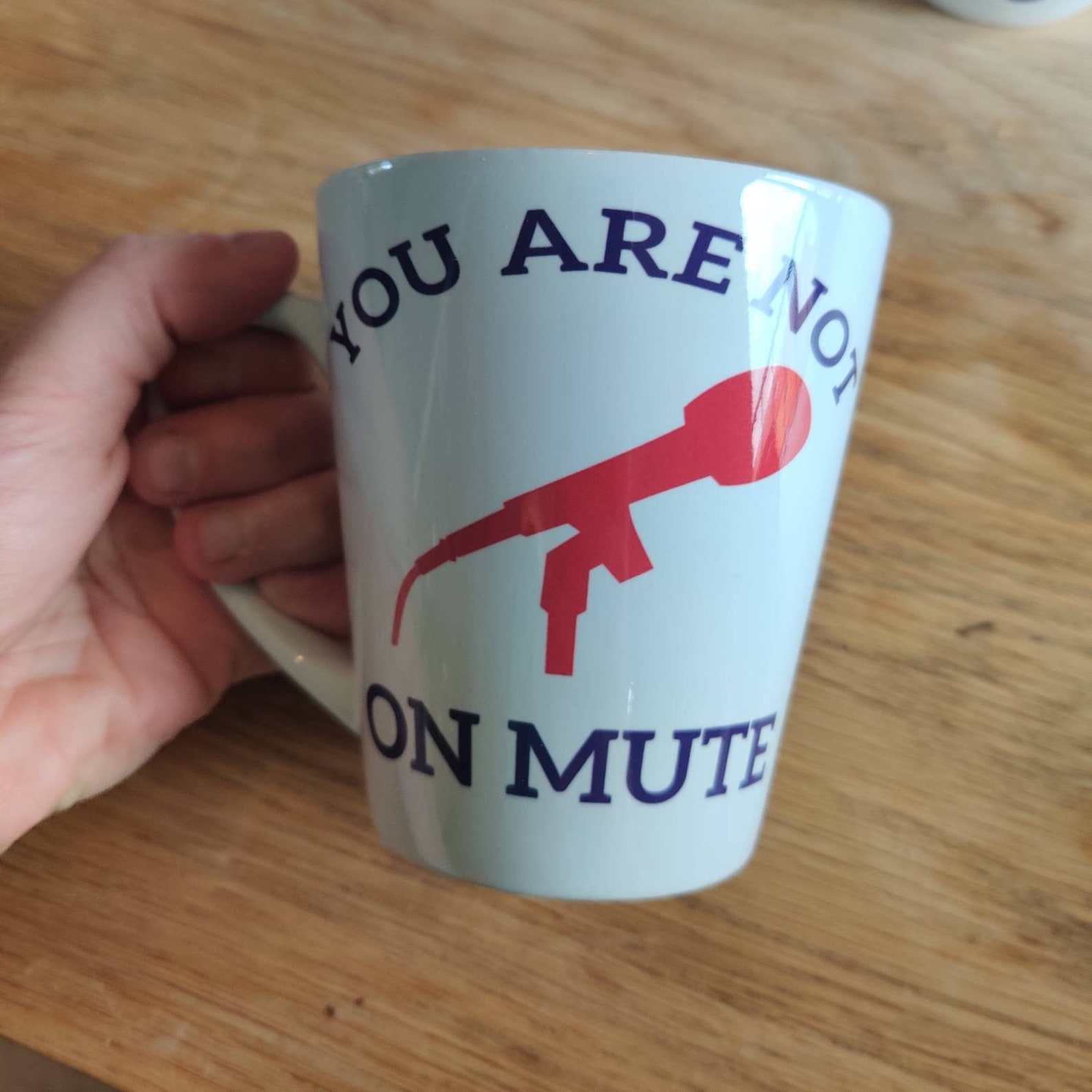 You Are on Mute Double Sided Mug. Funny Zoom Meetings Video - Etsy