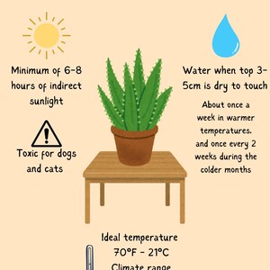 Aloe Vera Tips and Guide Print - Etsy