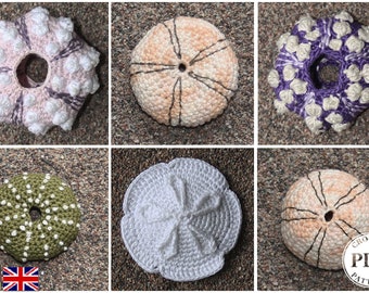 Sea Urchins - Etsy