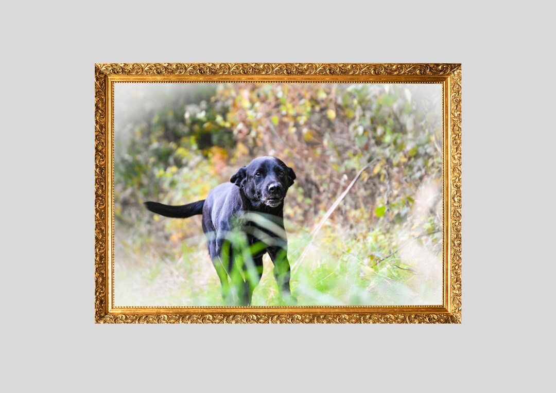 Labrador Landscape Photo Nature Photography - Etsy