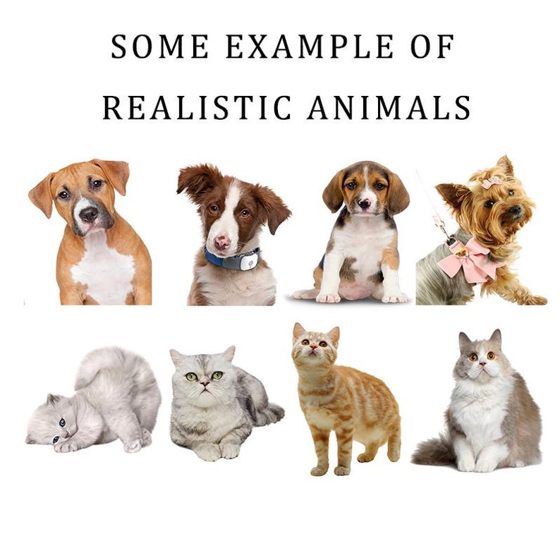 3500+ Animal Clipart Bundle, PNG Wildlife and Pet Images, Cute and ...