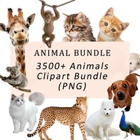 Safari Animals Mega Bundle Clipart 1070 Safari PNG Wildlife Clipart Zoo ...