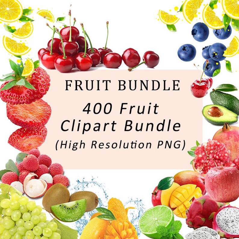 400 Fruit Clipart Bundle, High Resolution Pngs, Digital Instant ...