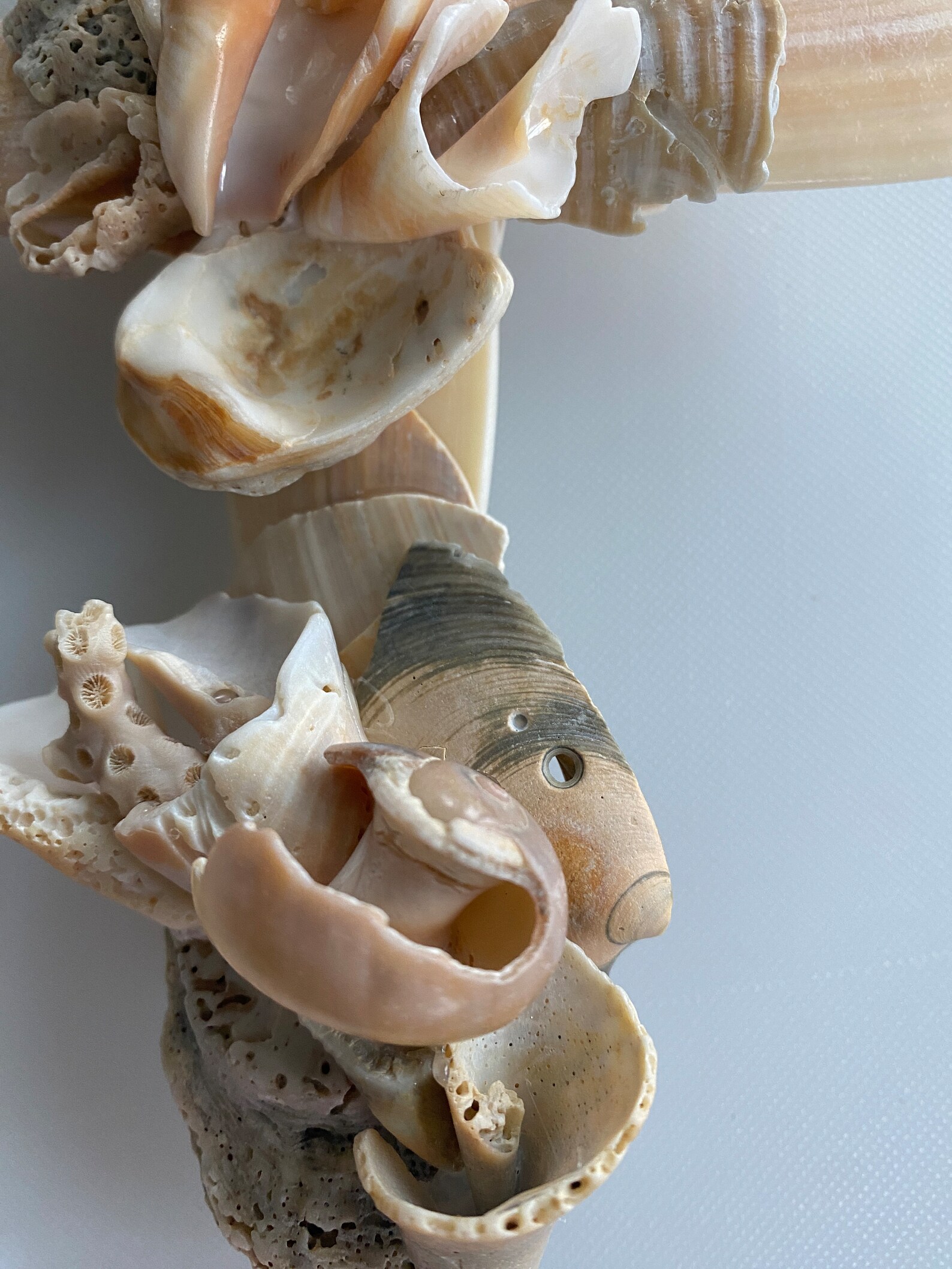 Unique Sculptured Cross / Seashell Cross / One of a Kind Cross - Etsy