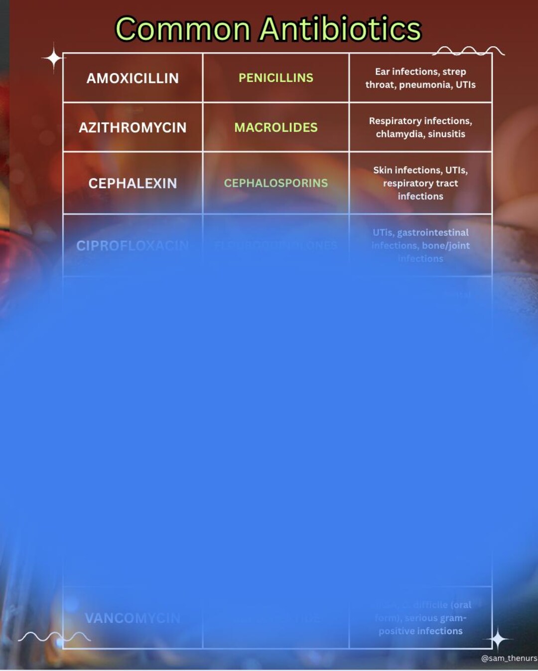 Common Antibiotic Study Guide - Etsy
