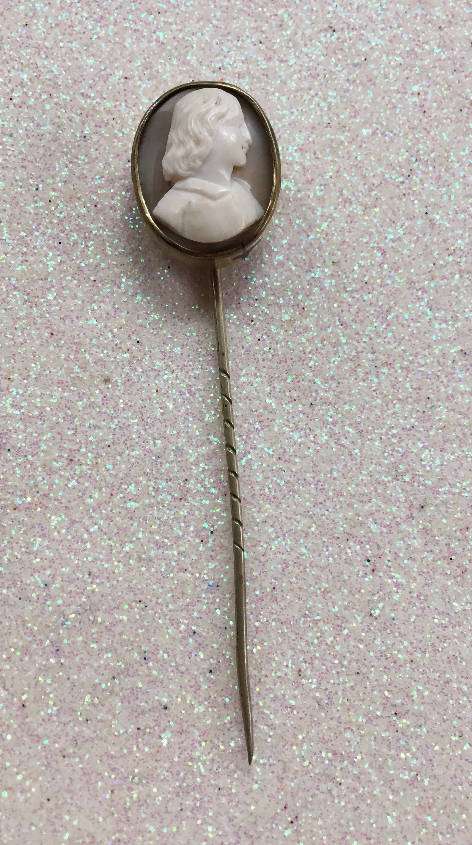 Victorian Cameo Carved Shell Stick Pin | Etsy