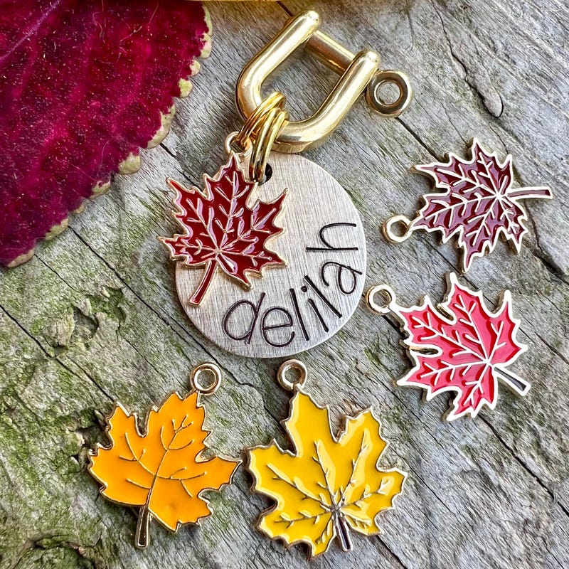 Maple Pet Accessories - Etsy