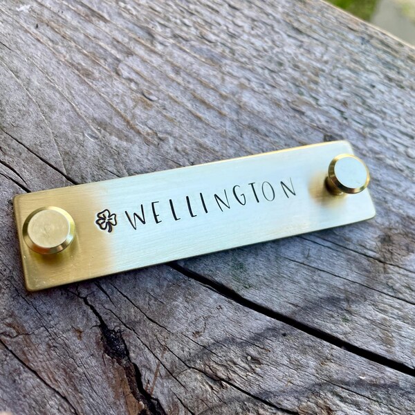 Halter Brass Plate - Etsy