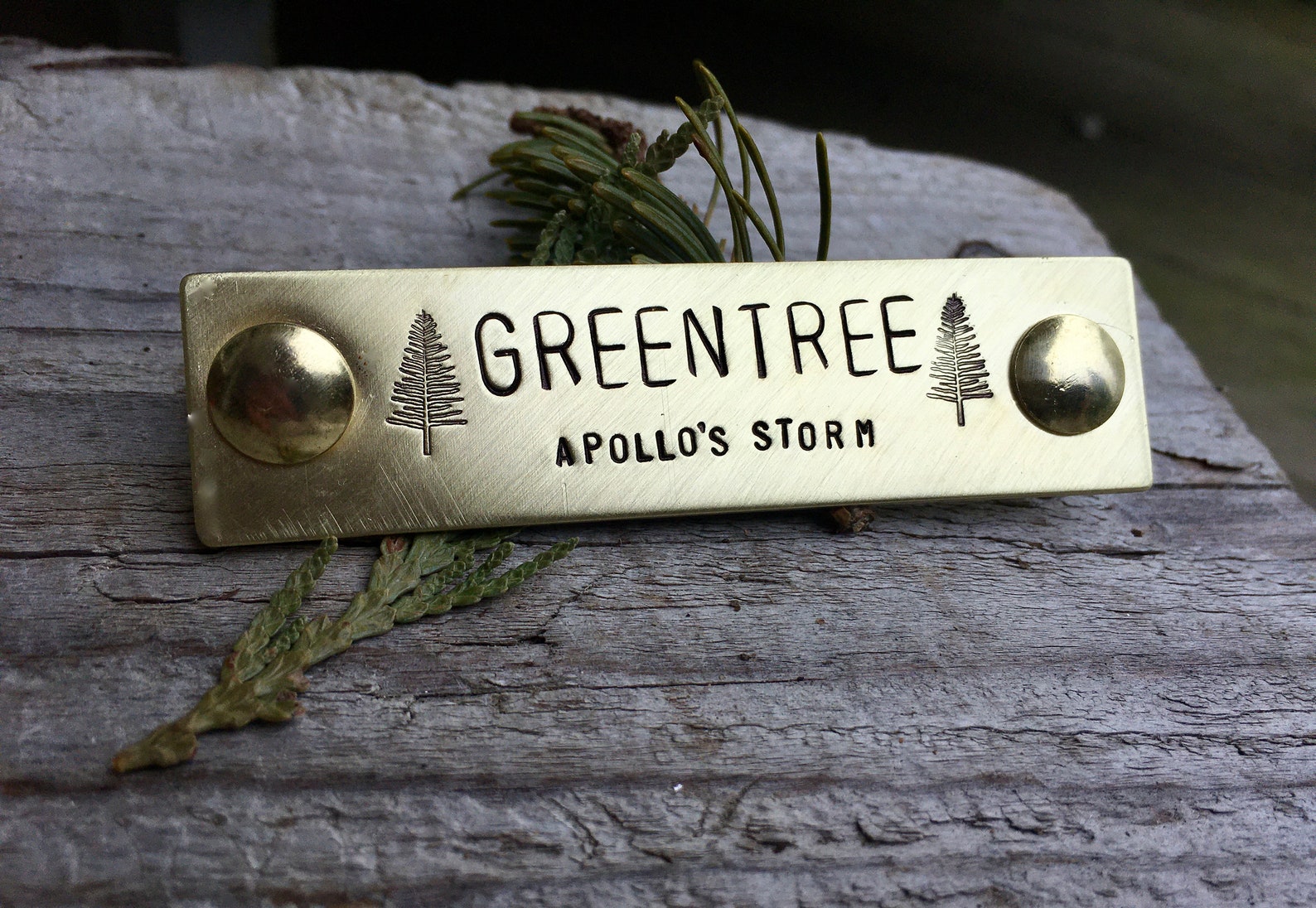 Custom Horse Halter Name Plate - Brass Halter Name Tag - Custom ...