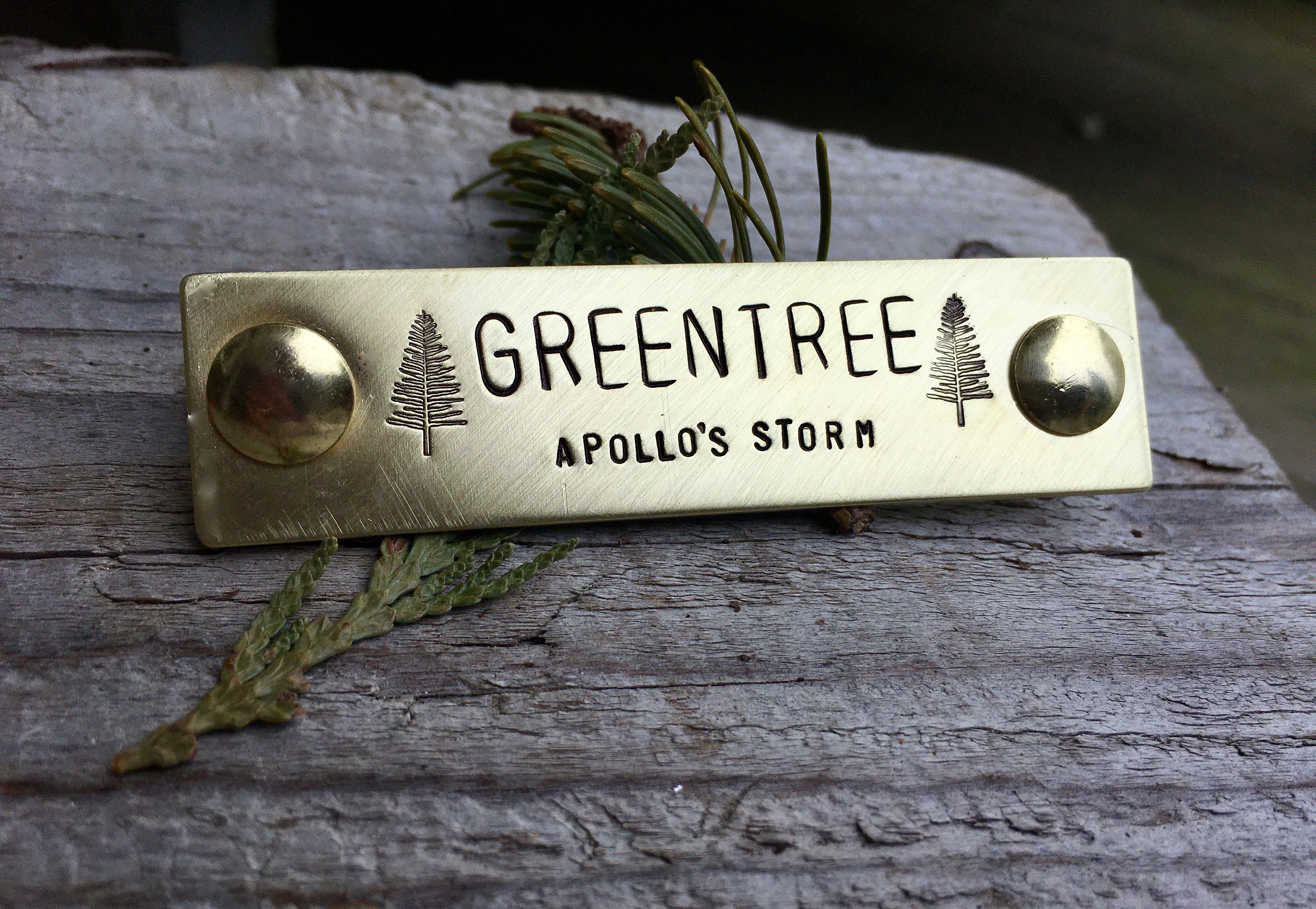 Custom Horse Halter Name Plate - Brass Halter Name Tag - Custom ...