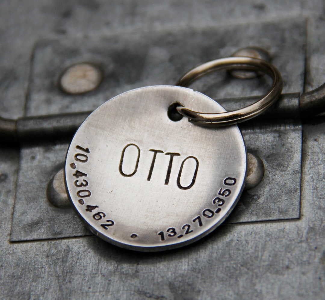 Custom Dog Tag / Custom Pet ID Tag - Lucy - in 1.25'' Domed Bronze ...