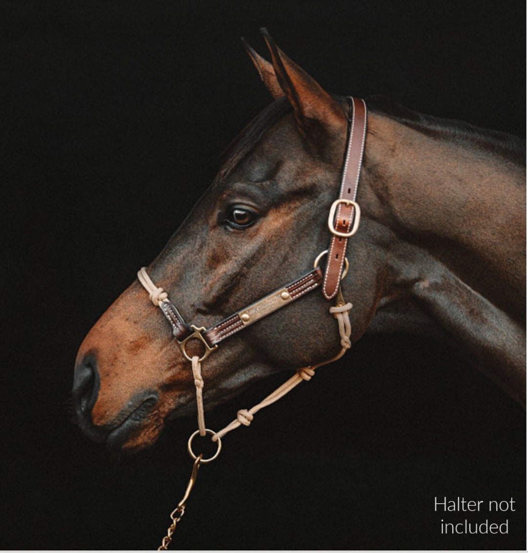 Custom Horse Halter Name Plate - Brass Halter Name Tag - Custom ...