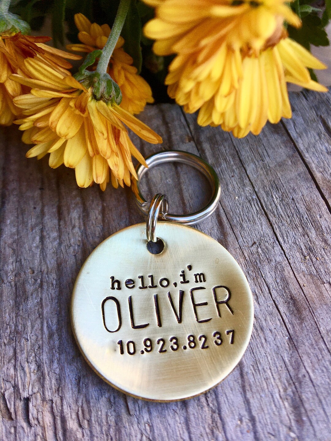 Custom Dog Tag / Hello I'm Pet ID Tag - in 1.25'' Domed Bronze ...