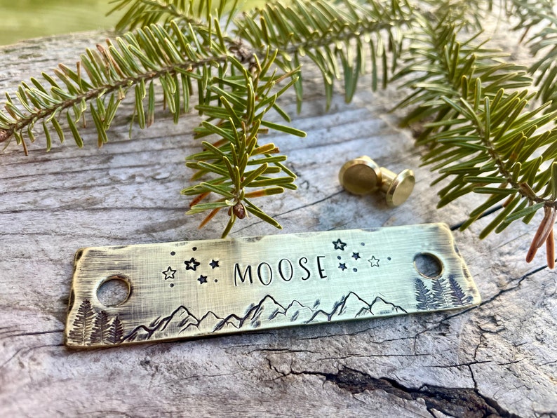 Custom Horse Halter Name Plate - Rose Gold Halter ID Tag - Equestrian ...
