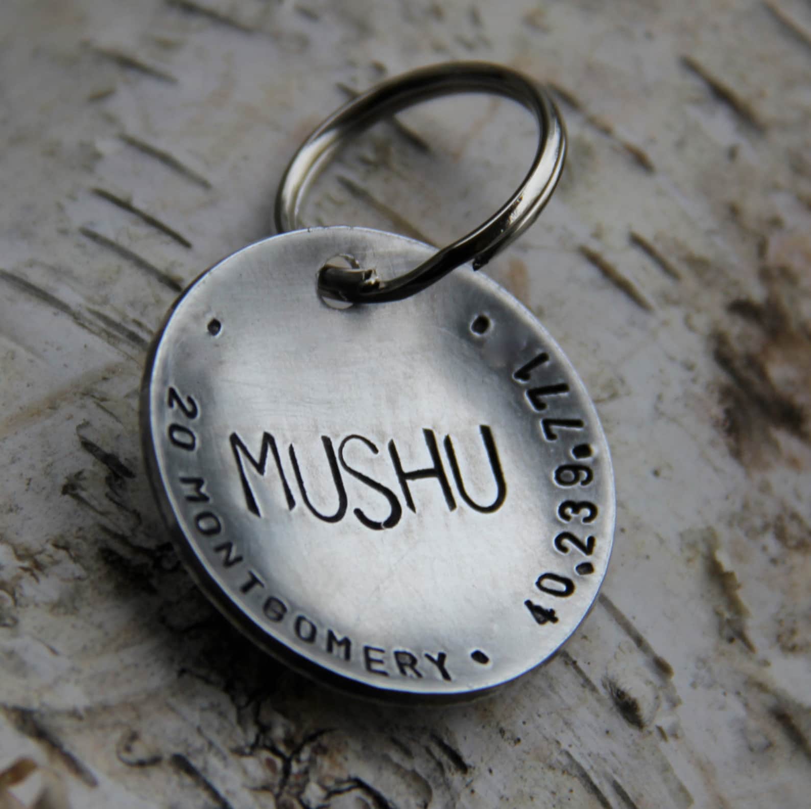 Custom Dog Tag / Custom Pet ID Tag Lucy in 1.25'' | Etsy