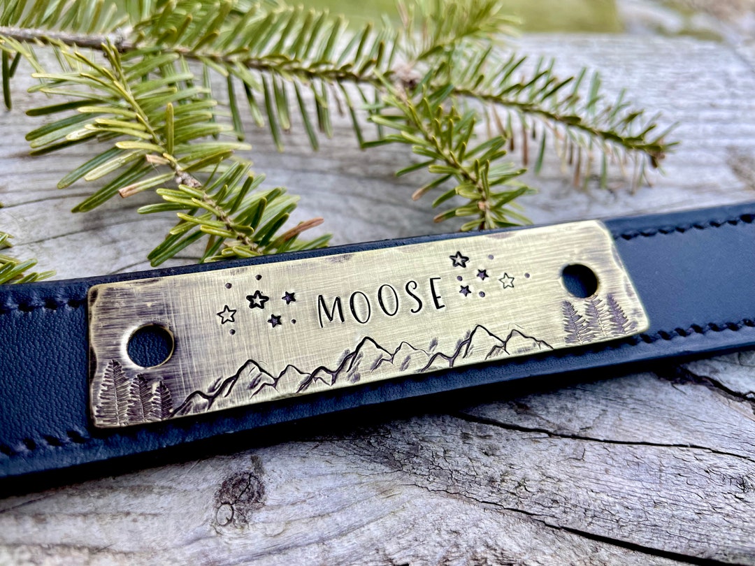 Custom Horse Halter Name Plate - Brass Halter ID Tag - Equestrian Horse ...