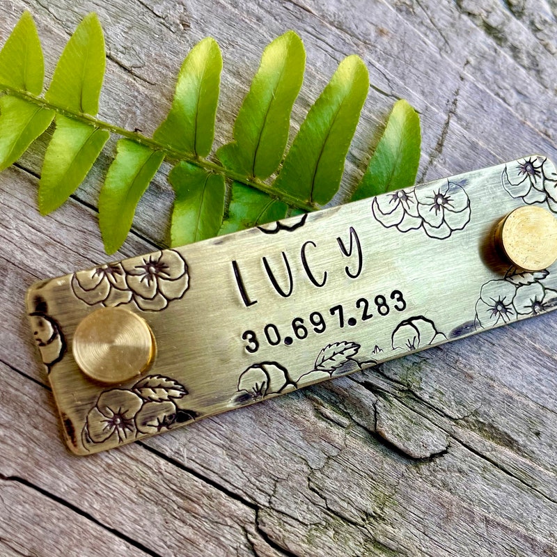 Custom Dog Name Plate - Etsy