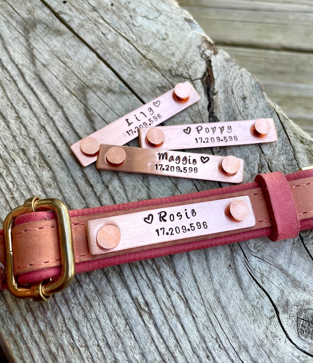 Custom Rivet on Dog Tag - Dog Collar Nameplate - Personalized Pet ID ...