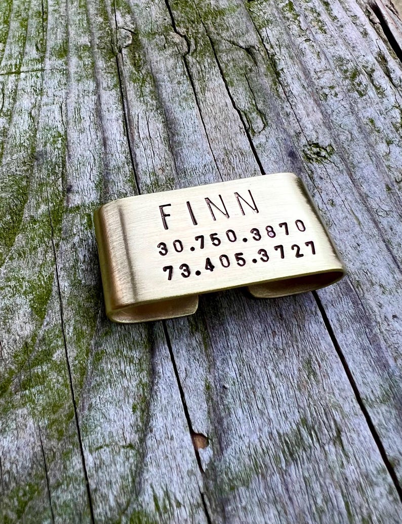 Custom Brass Slide on Dog Collar Tag, Personalized Metal Fur Saver Pet ...
