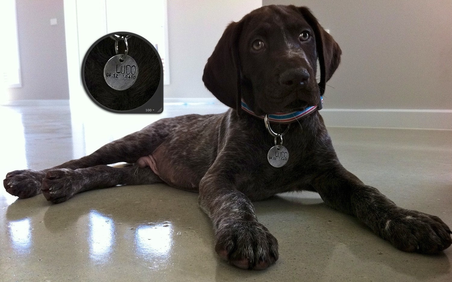 Custom Dog Tag Pet ID Tag Forest Dog Tag Custom Dog | Etsy