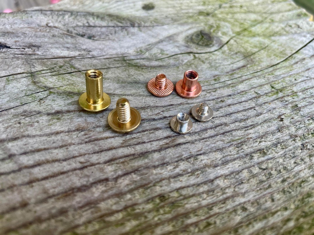 Chicago Rivet Screws for Leather or Biothane Dog Collar Rivets - Brass ...