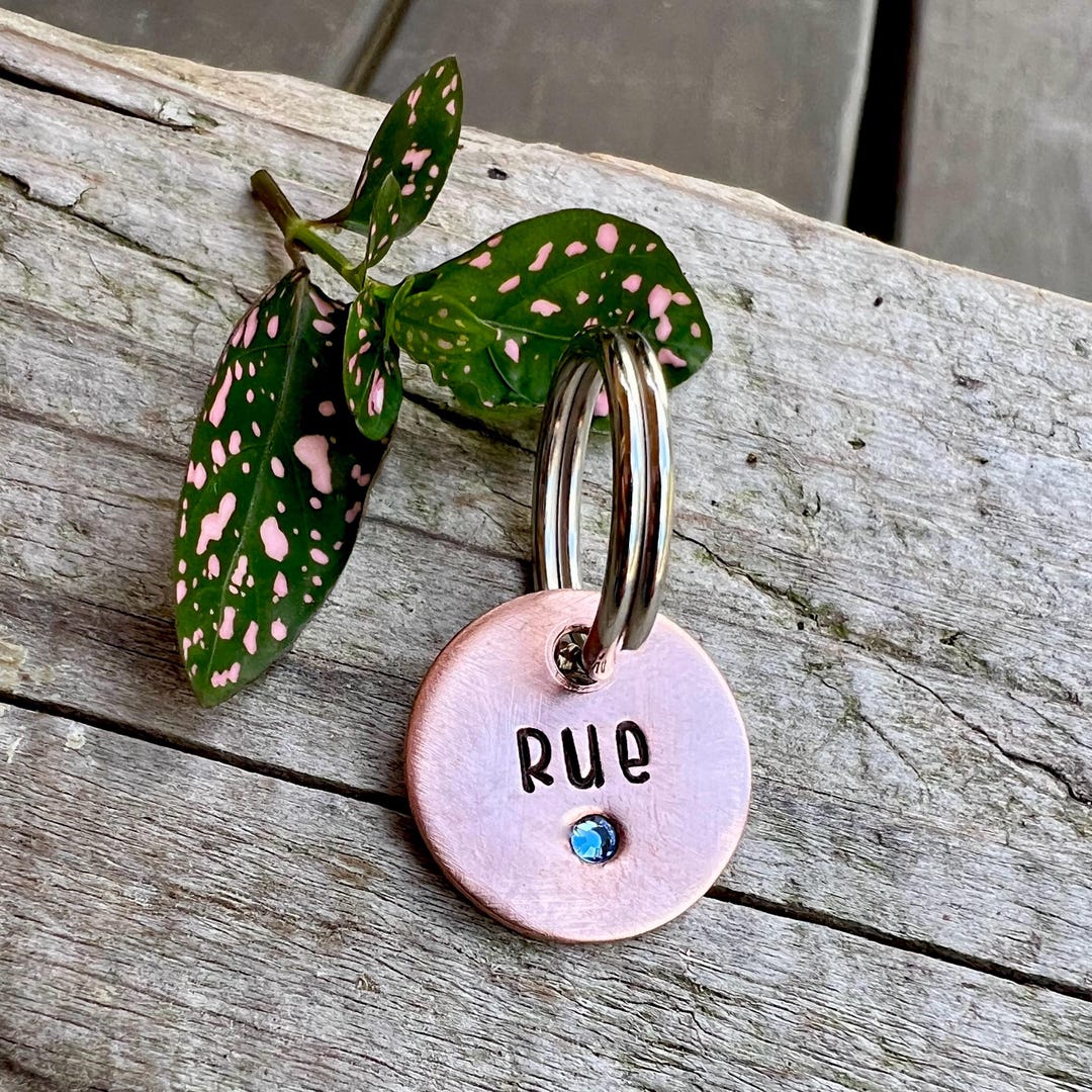 Small Dog ID Tag With Crystal - Birthstone Pet ID Tag - Puppy Name Tag ...