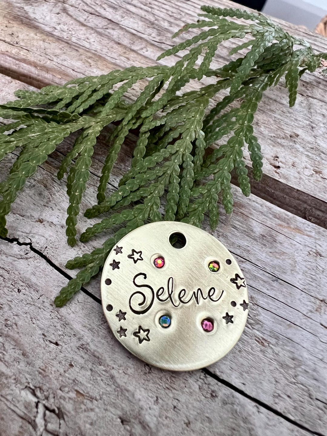 Custom Horse Halter Tag, Bling Bridle Tag, Horse Gift for Trainer ...