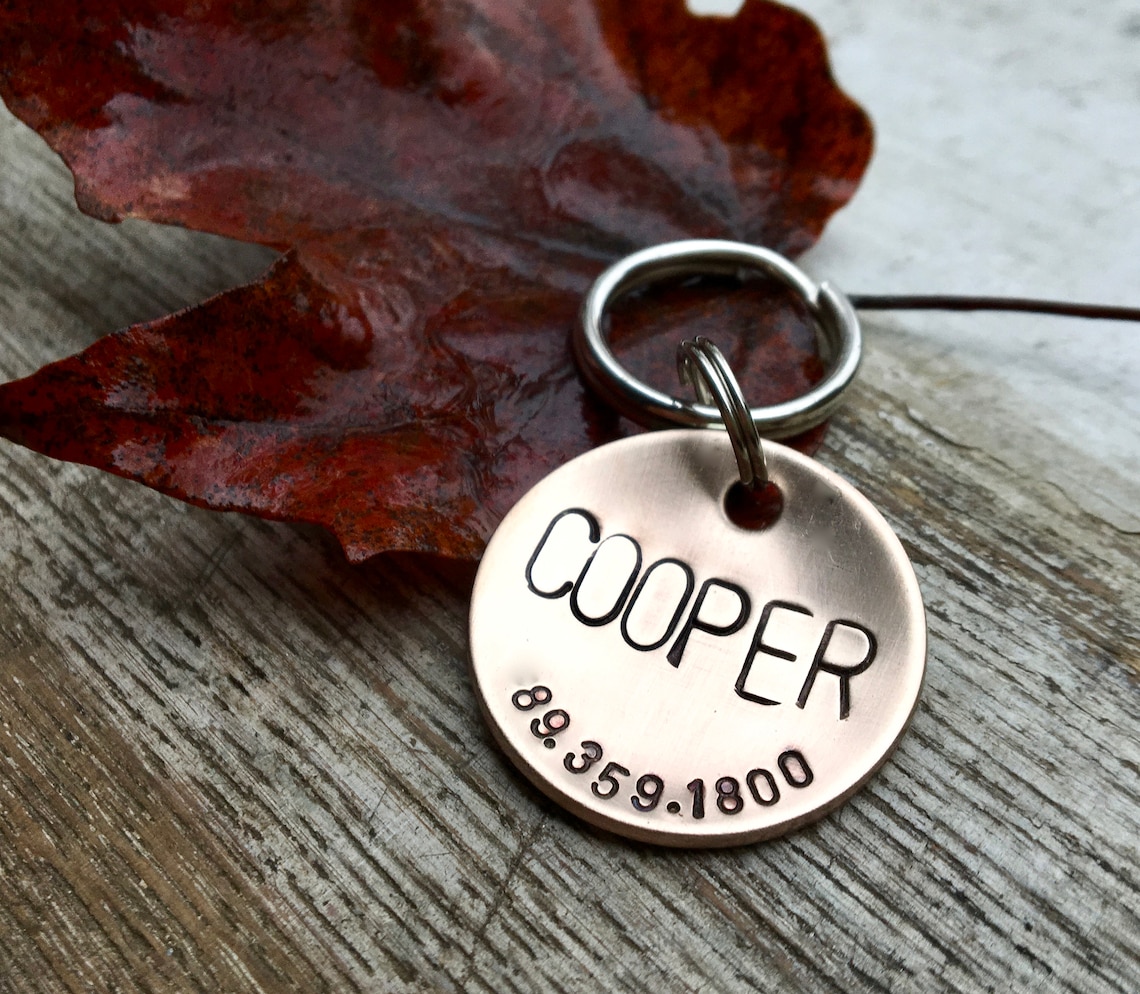 Custom Dog Tag Small Dog Tag Cat Tag Personalized Pet Tag - Etsy