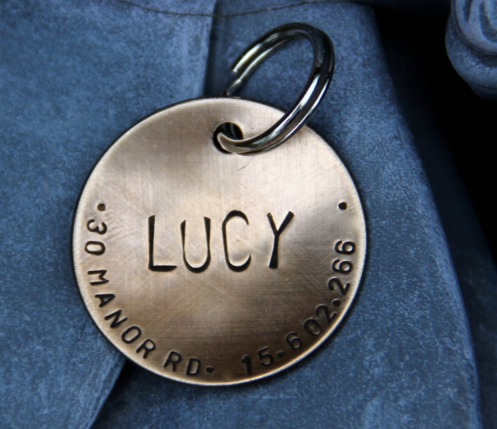 Custom Dog Tag / Custom Pet ID Tag - Lucy - in 1.25'' Domed Bronze ...