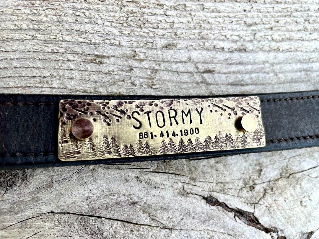 Rivet on Dog Tag - Dog Collar Nameplate - Dog Tag - Personalized Pet ID ...