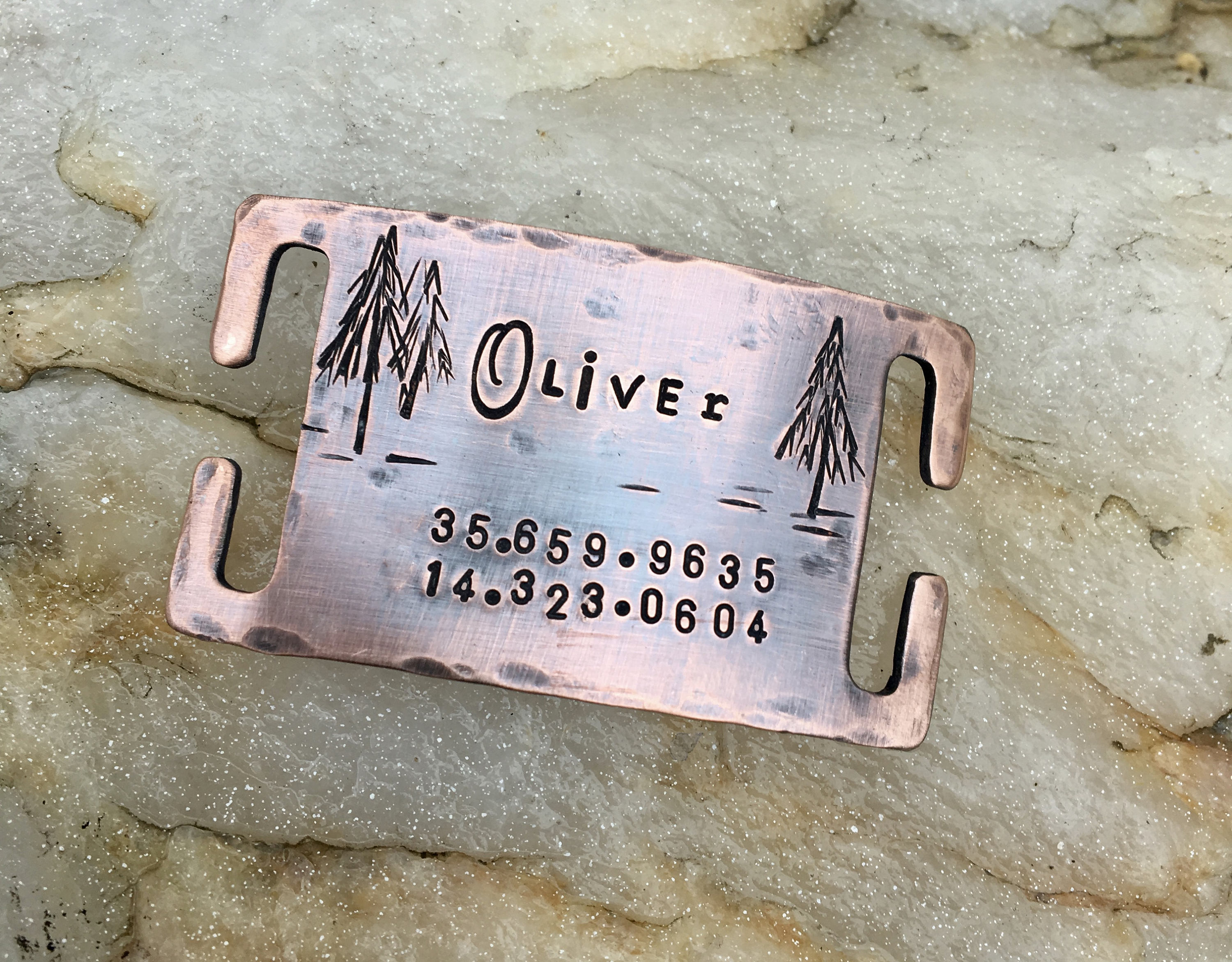 Quiet Slide Dog Tag - Custom Pet ID Slide on Tag - in the Forest ...