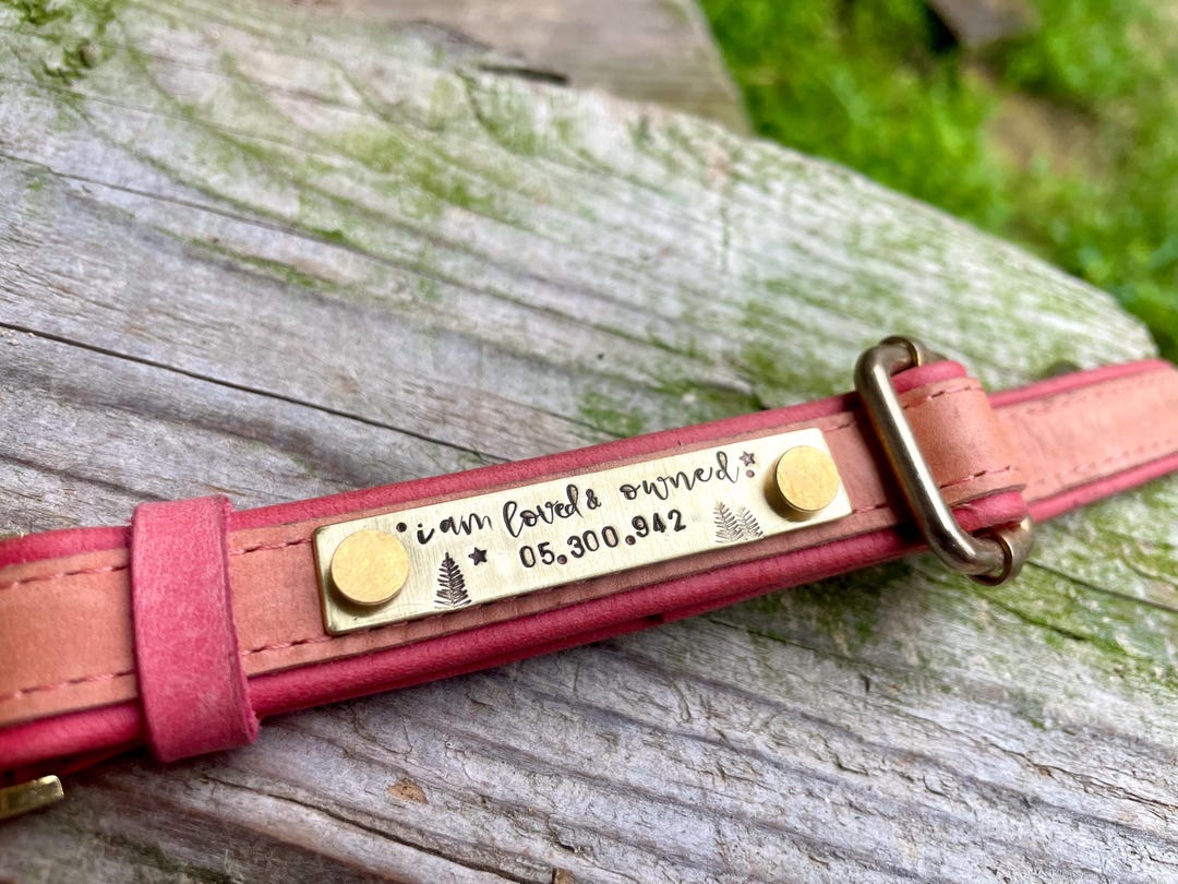 Custom Brass Rivet on Dog Tag - Dog ID Collar Nameplate - Personalized ...