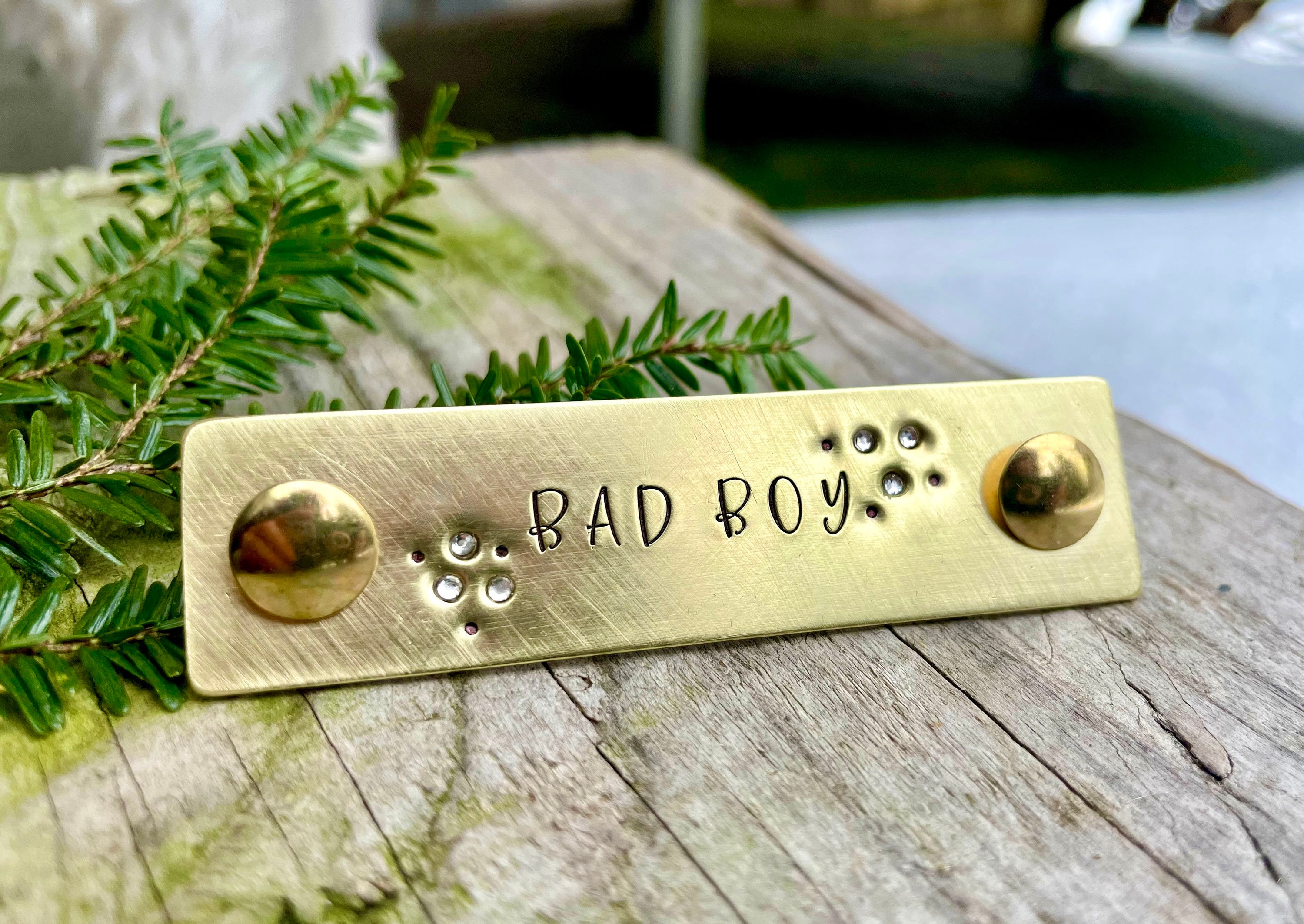 Custom Horse Halter Name Plate, Gift for Equestrian, Personalized ...