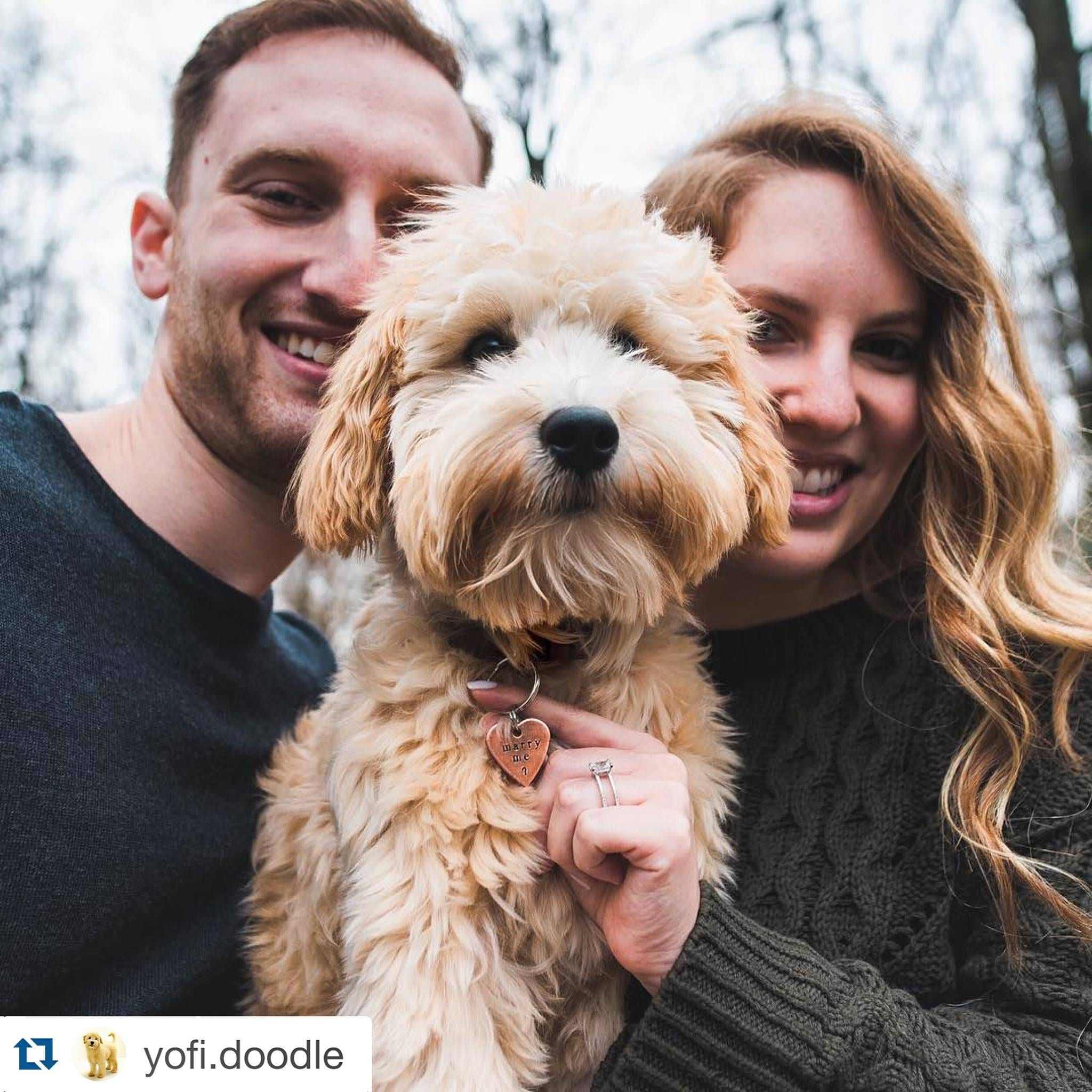 Puppy Proposal Tag - Dog Proposal Tag for Wedding Proposal - Engagement ...