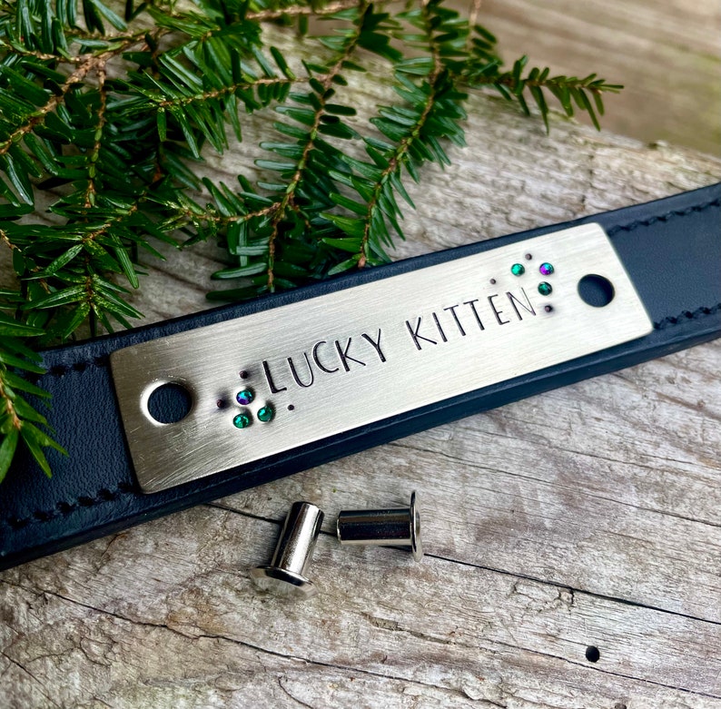 Custom Horse Halter Name Plate, Gift for Equestrian, Personalized ...