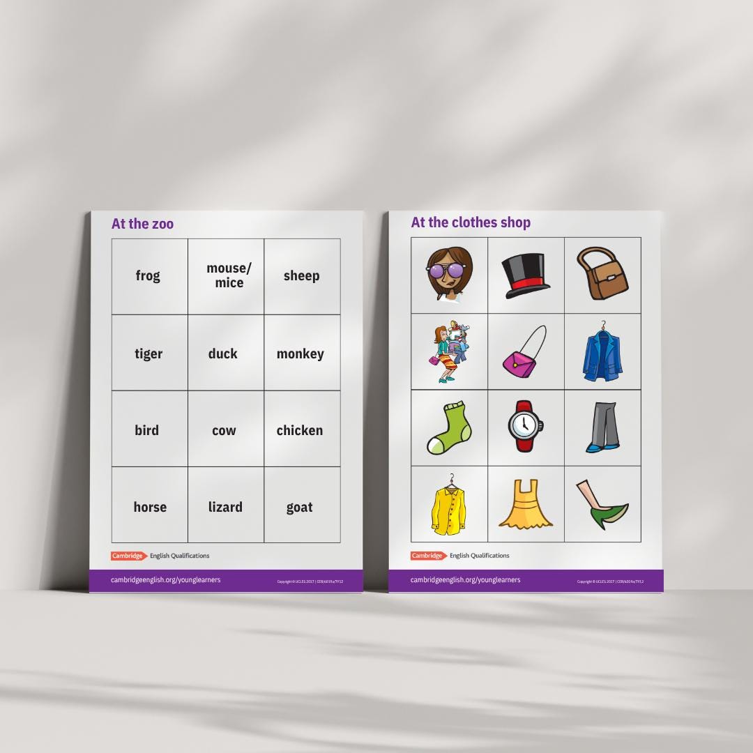 Cambridge English Pre A1 Starters Flashcards | ESL Printable PDF for ...