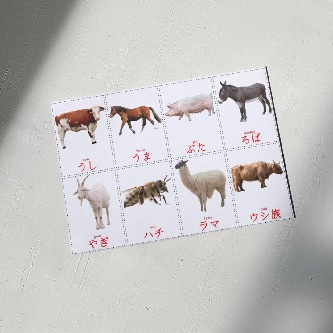 88 Japanese Animal Flashcards Christmas - Learning Xmas Bundle - Etsy