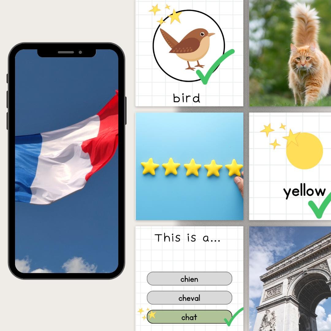 French Vocabulary Quiz: Fun Printable for All Levels! Bonjour Brains ...