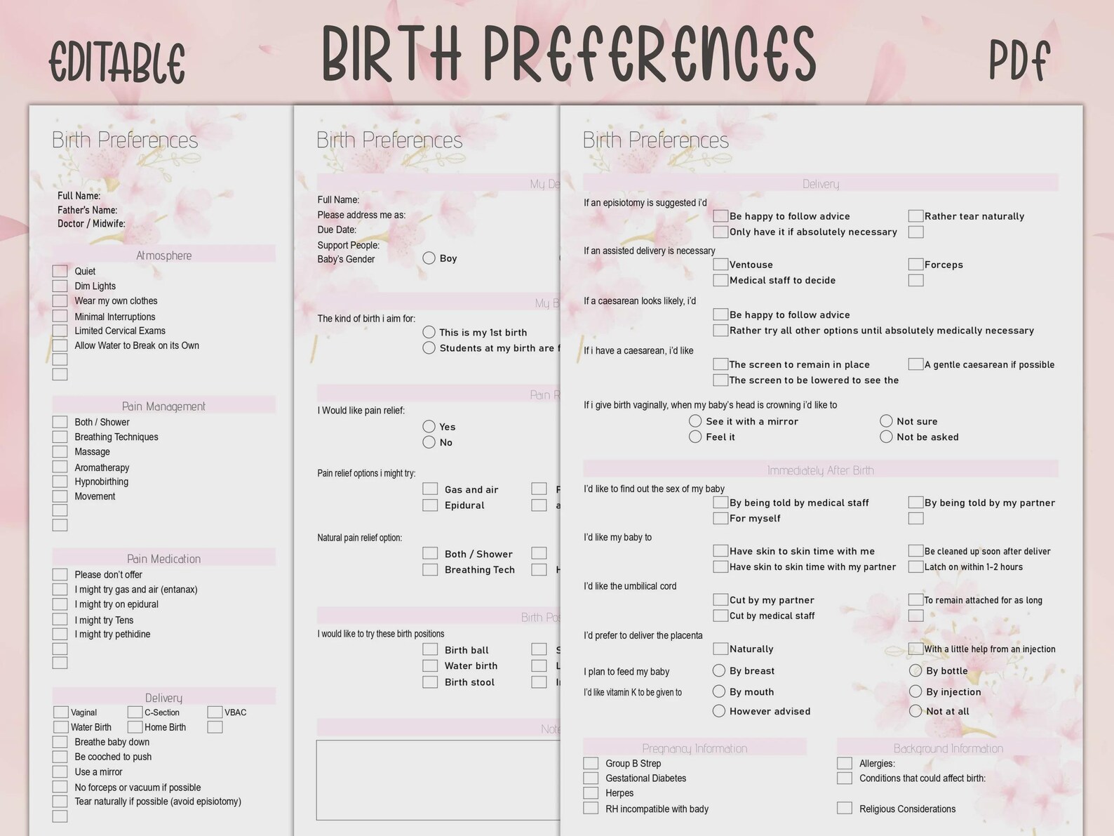 Editable Birth Plan Template, Labor & Delivery Preferences (digital ...