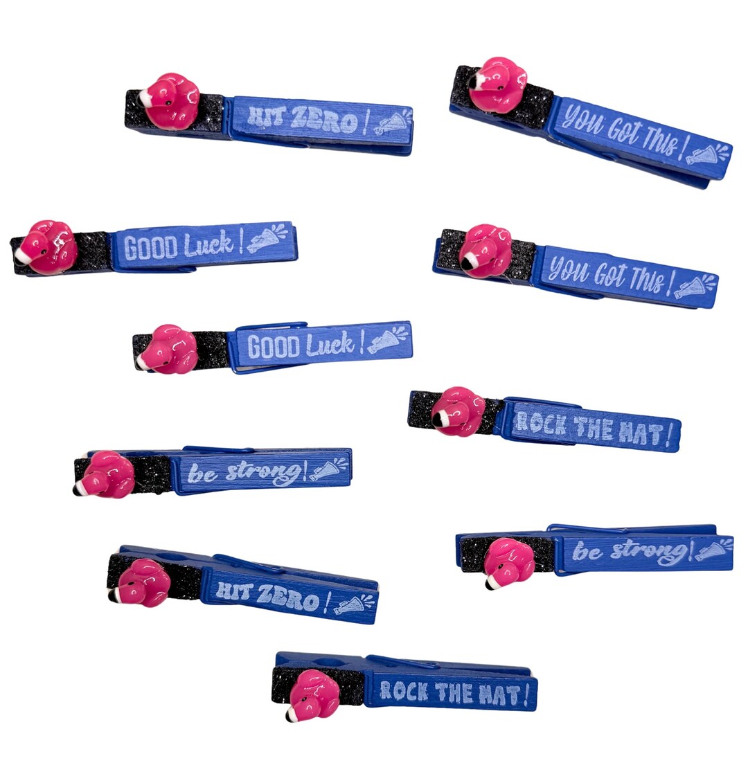 Flamingo Cheer Sayings | 10 Cheer Pins - Etsy