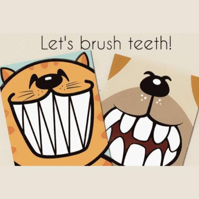 Animal Teeth Learning - Etsy