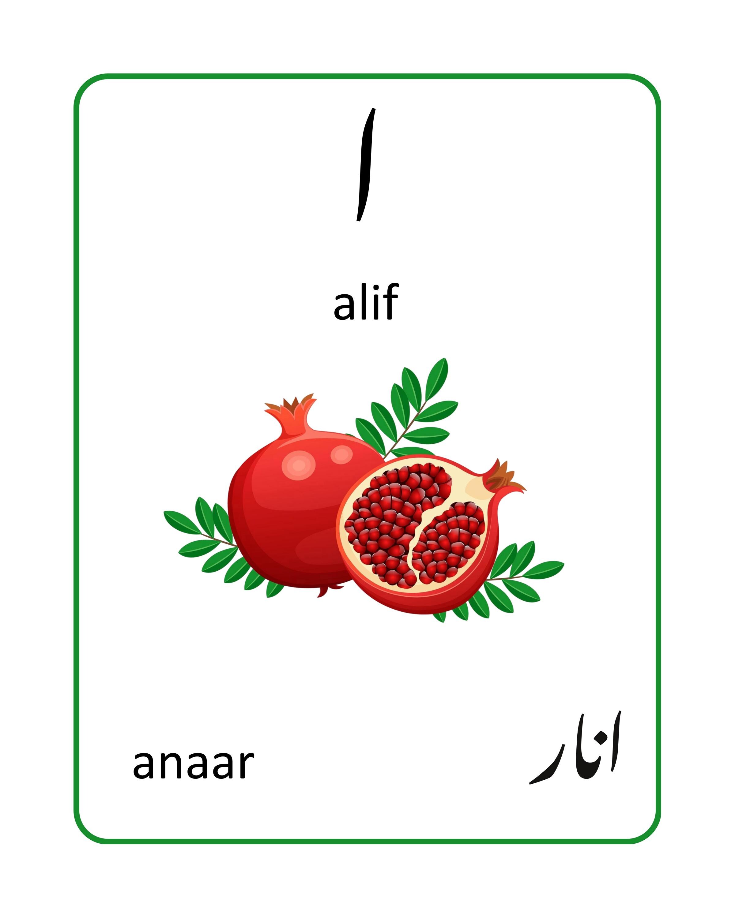 Urdu Alphabet Flash Cards: Preschool Learning Resource (PDF Download ...