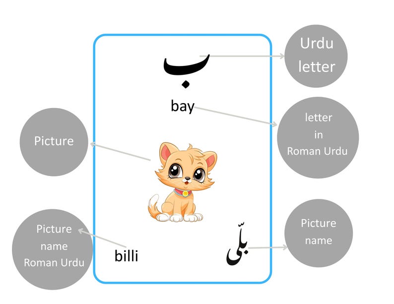 Urdu Alphabet Flash Cards: Preschool Learning Resource (PDF Download ...